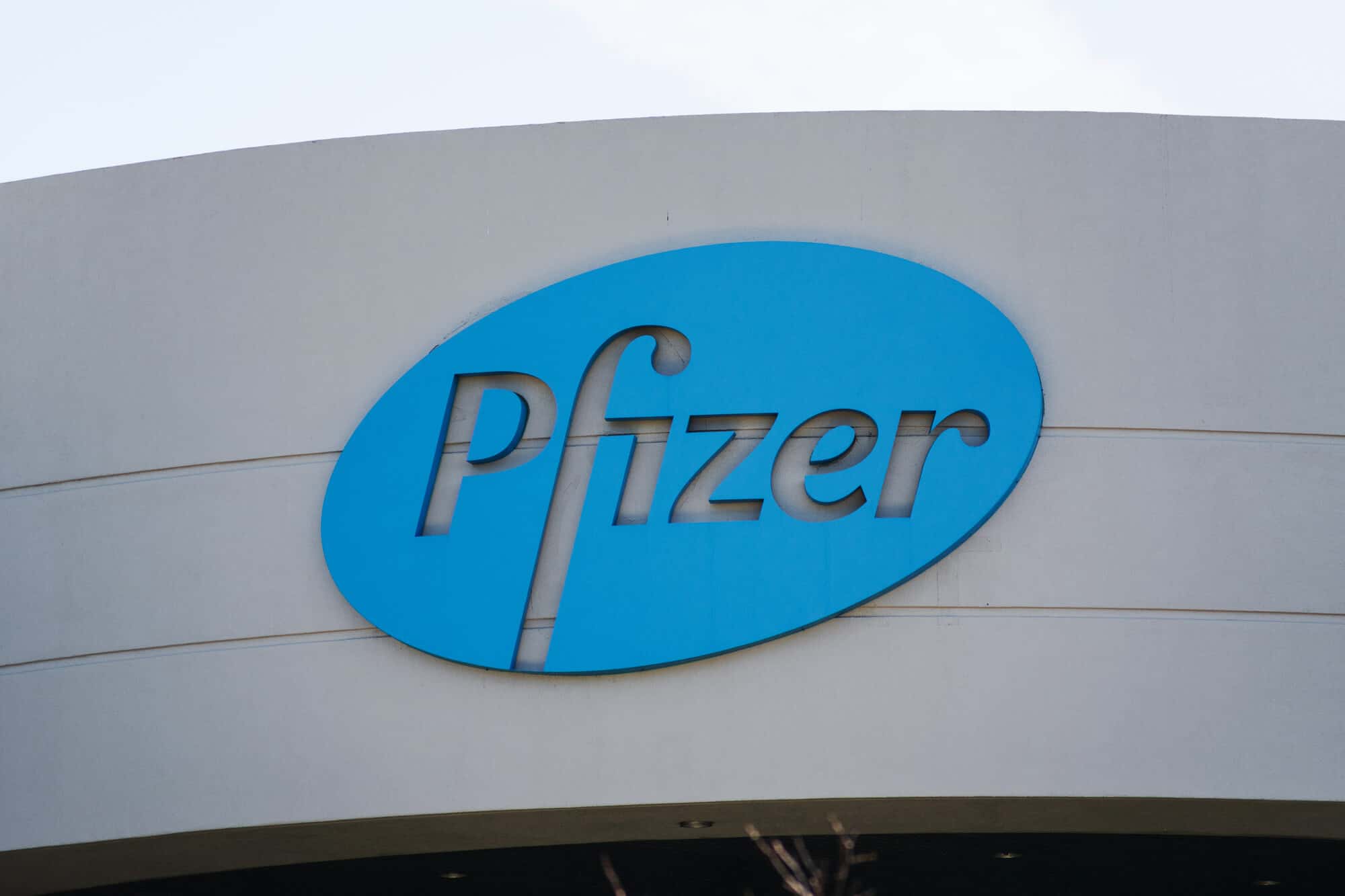 Guide to Working at Pfizer - Forage Guide to Working at Pfizer - Forage